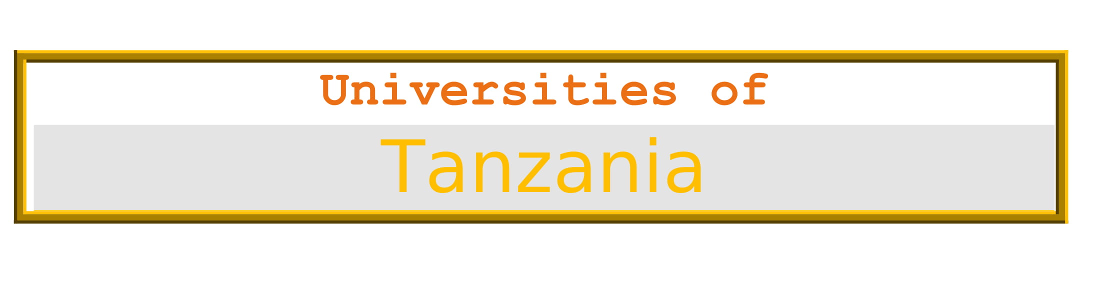 Universities in Tanzania